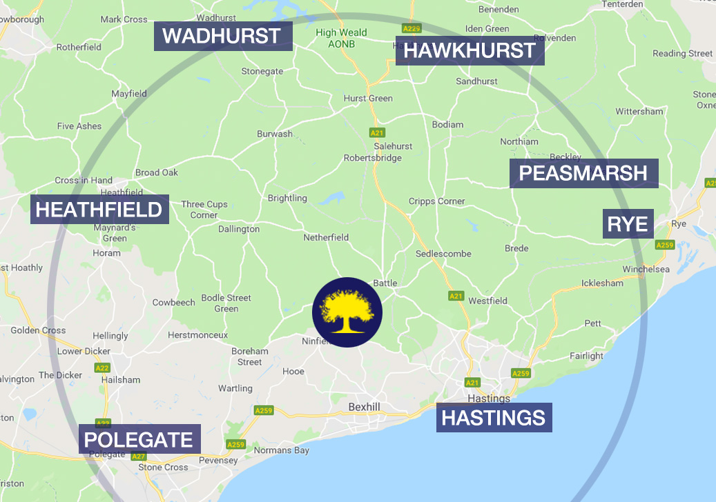 Tree surgery | Hedge cutting | East Sussex